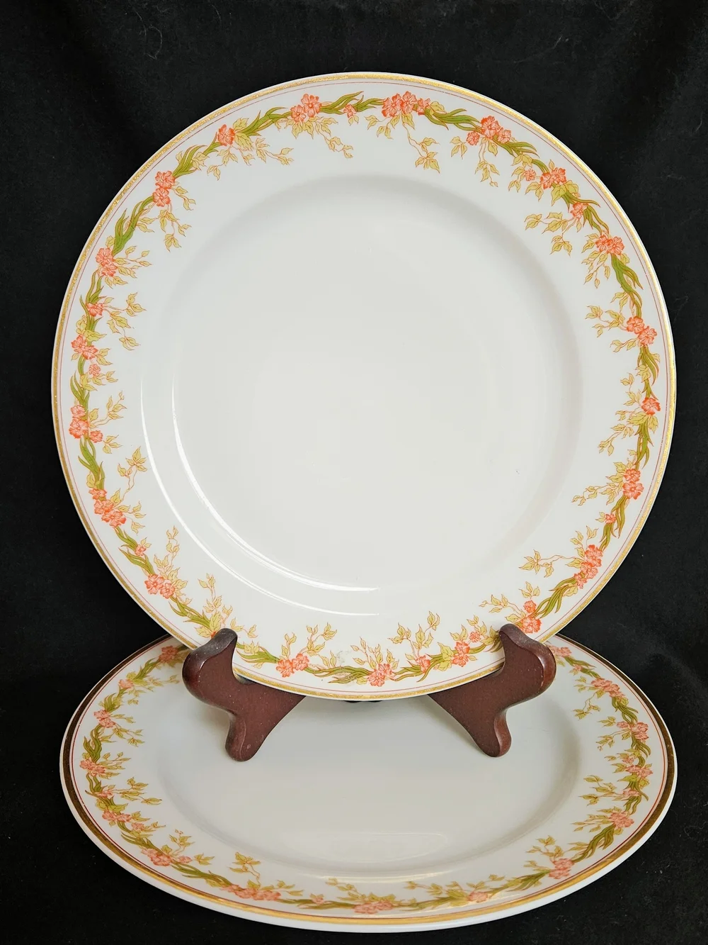 Haviland | Dining | Haviland White Dinner Plates With Coral Floral And ...